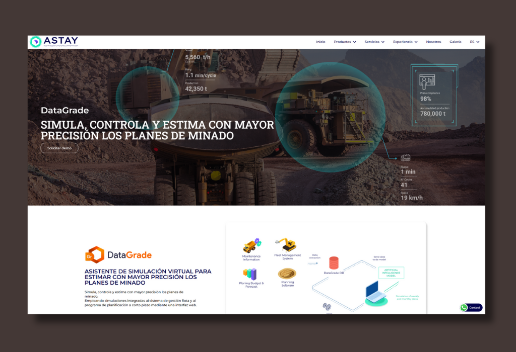 Ronald Arana, Web Developer