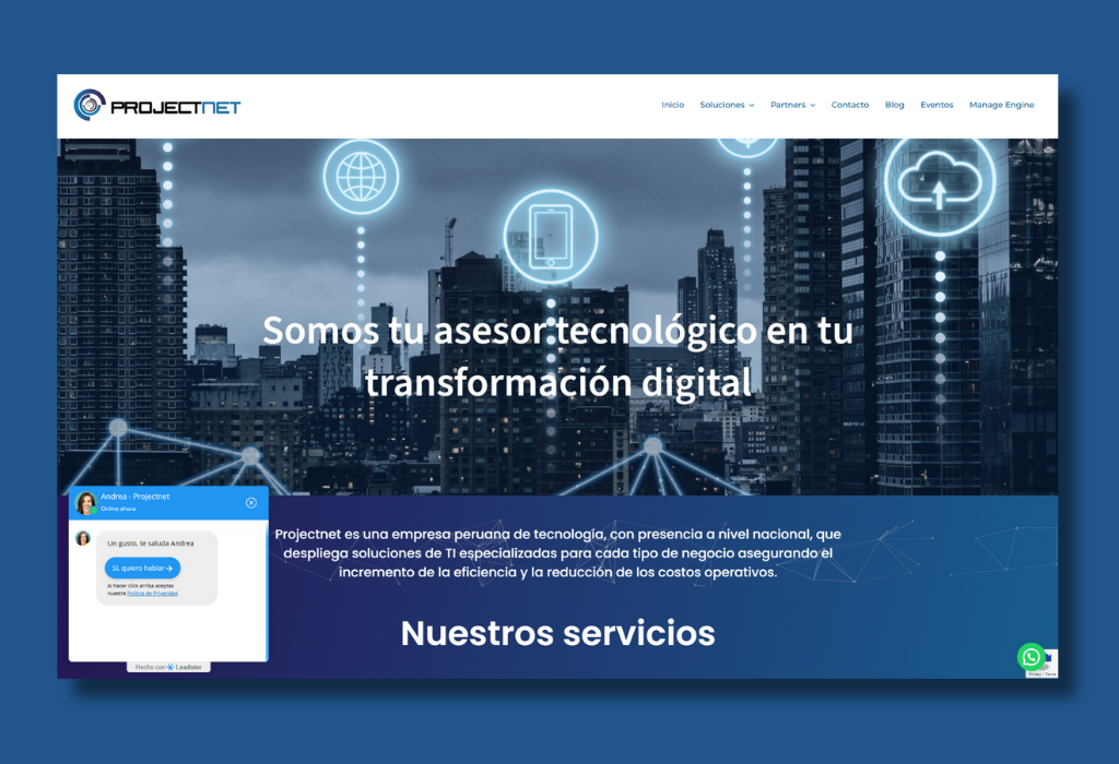 Ronald Arana, Web Developer